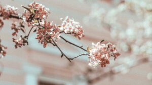 Best Time to Visit Romania – Month-by-Month Travel Guide | Go Visit Romania